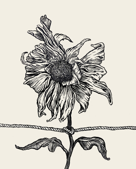 Paintings – John Casey